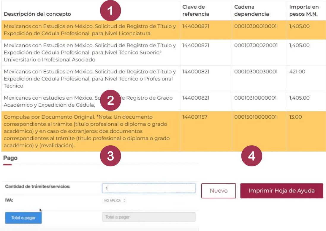 ᐈ TRÁMITE de CÉDULA PROFESIONAL | SEP【2025